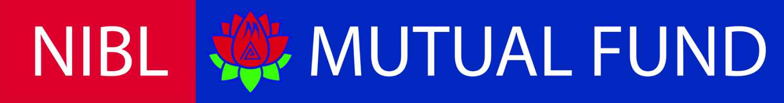 Mutual Fund | Synopsis